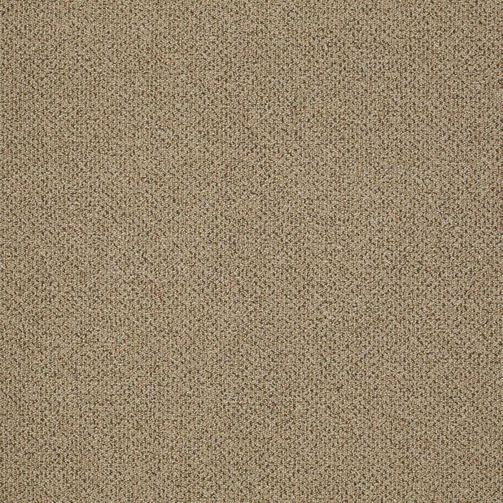 Patcraft Pace Amble Carpet
