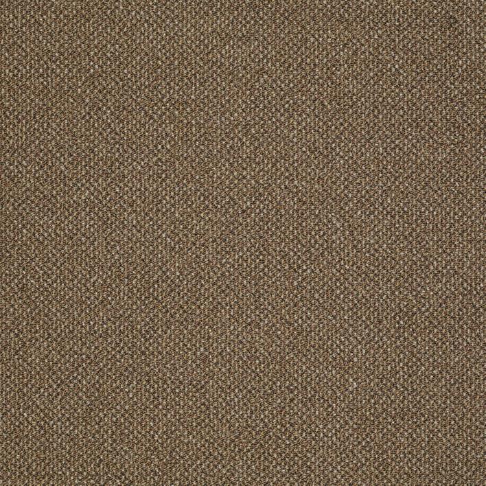 Patcraft Pace Cantor Carpet