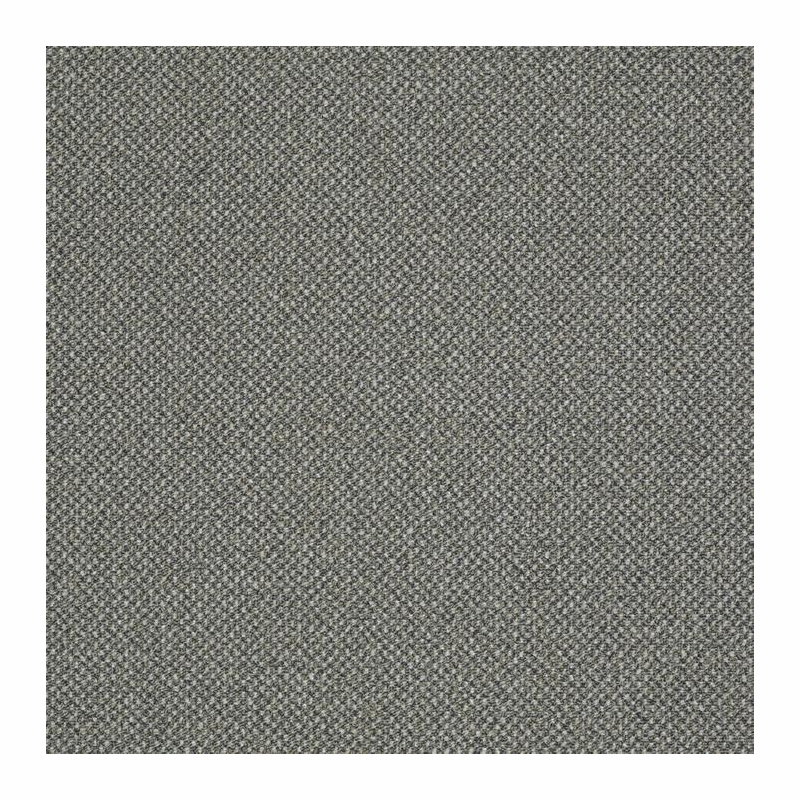 Patcraft Pace Parade Carpet