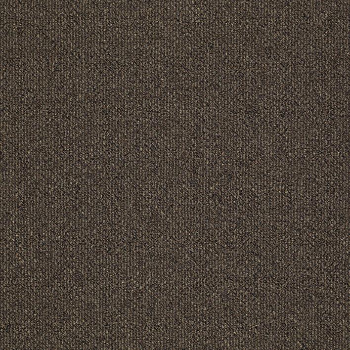 Patcraft Pace Saunter Carpet