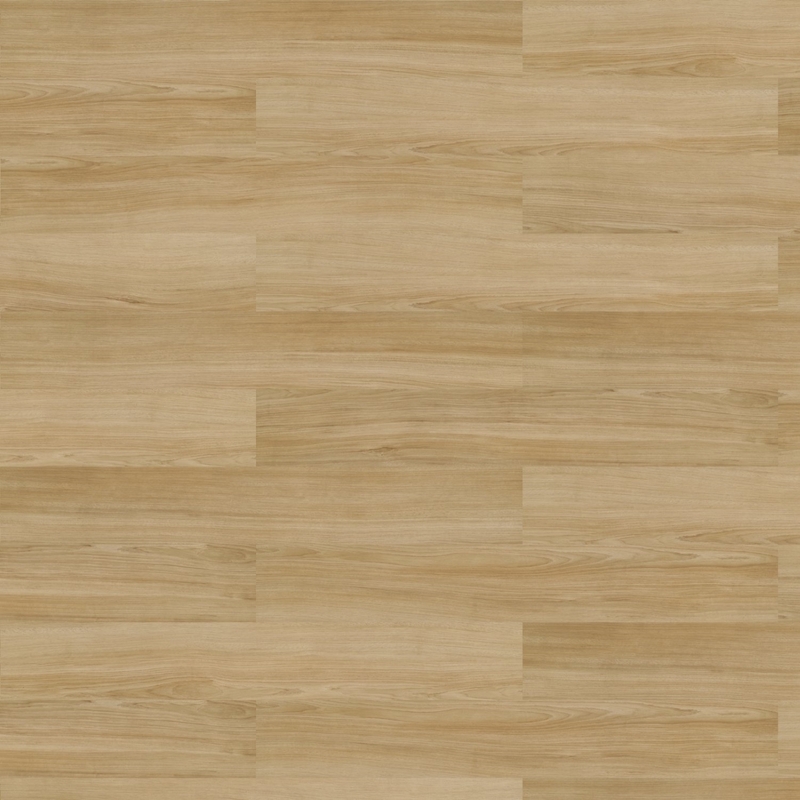 Patcraft Pursue Authentic