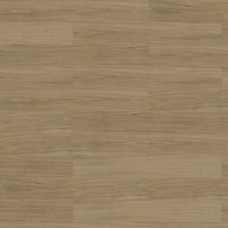 Patcraft Pursue Restful