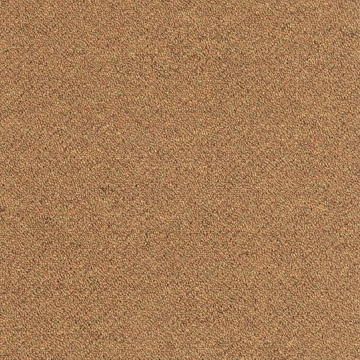 Patcraft Scholastic II 26 Graduate Program Carpet