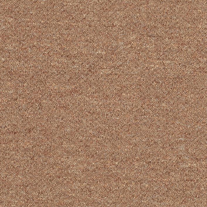 Patcraft Scholastic II 26 Syllabus Carpet