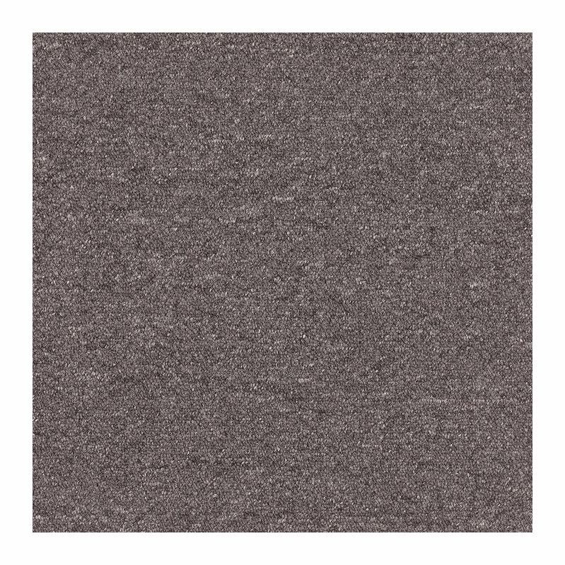 Patcraft Scholastic II 26 Undergraduate Carpet