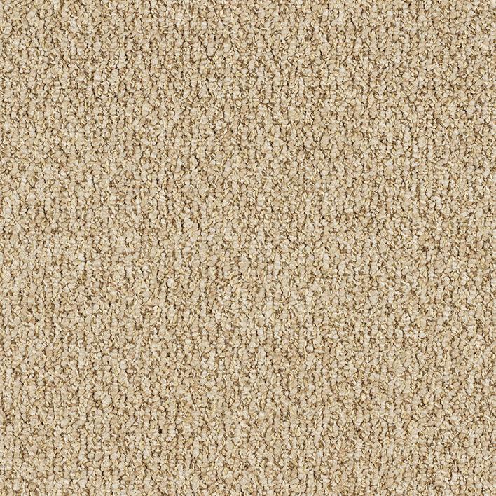 Patcraft Socrates II Berkeley Carpet Tile