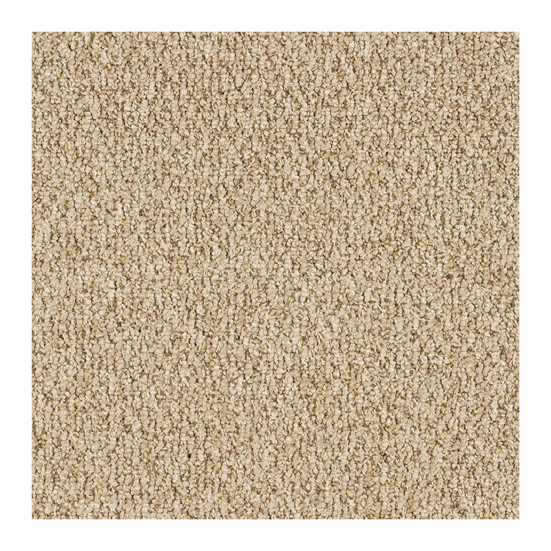 Patcraft Socrates II Berkeley Carpet Tile