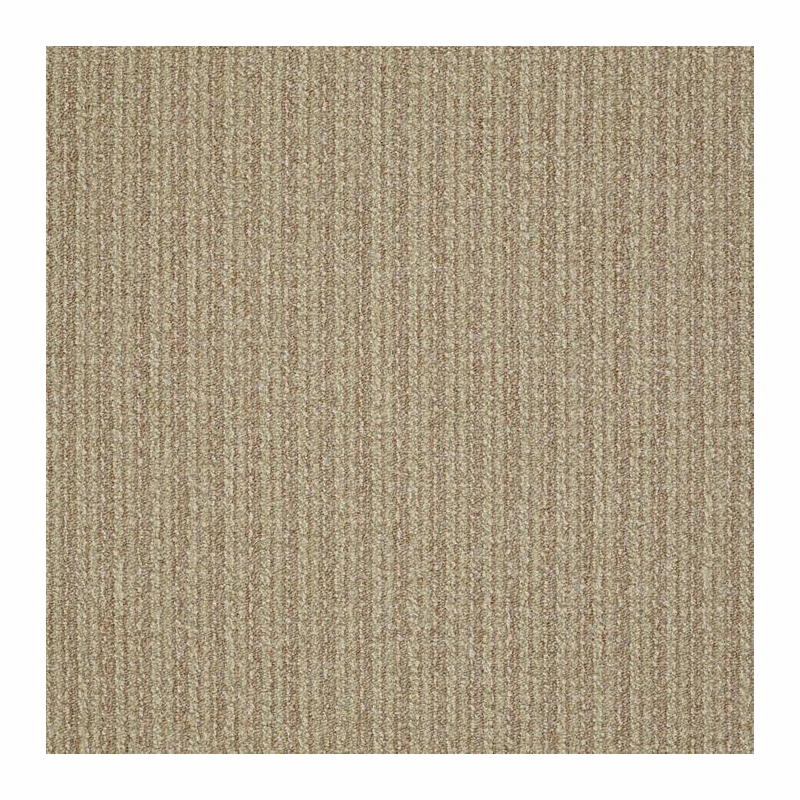 Patcraft Stride Amble Carpet