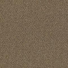 Patcraft Technique Novel Carpet