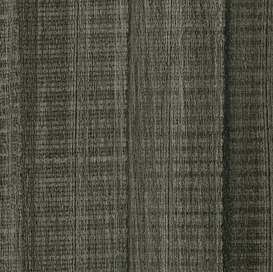 Patcraft Timber Grove II Inkberry 20 mil