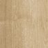 Patcraft Timber Grove II Sprout 12 mil