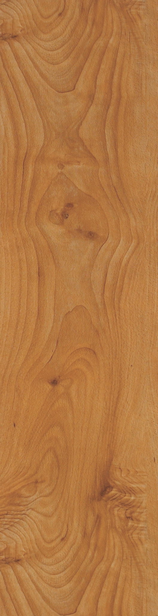 Philadelphia Bosk Light Cherry