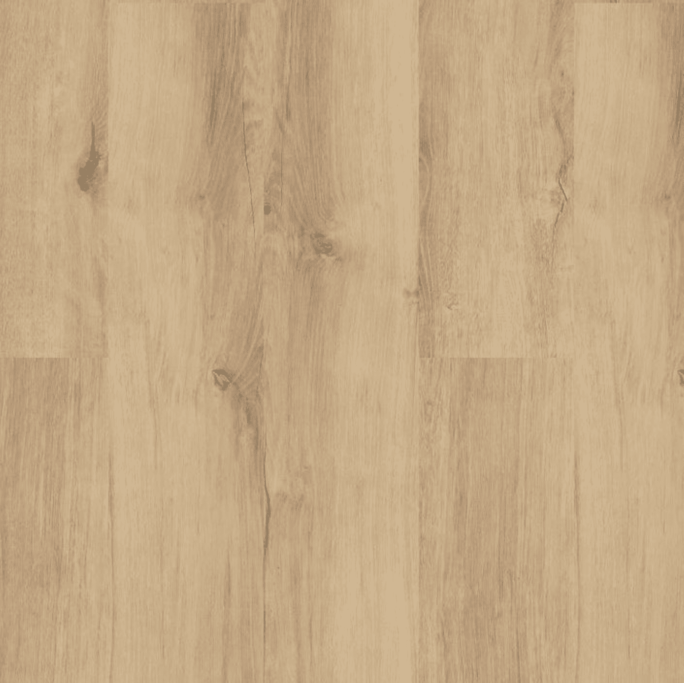 Philadelphia Fortitude Marina