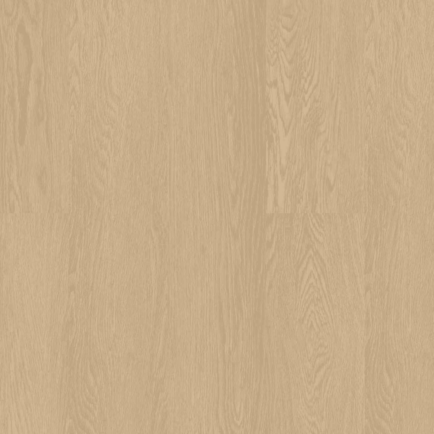 Philadelphia Fortitude Oceanfront