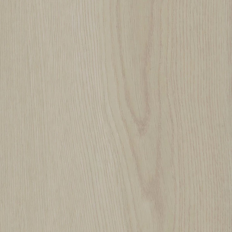 Philadelphia Philosopher's Tree Pebble