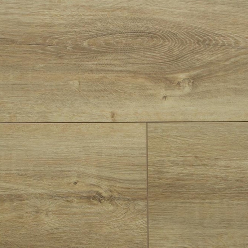 Early Morning 8 Inch Wide, Prestige Atroguard, Order Online