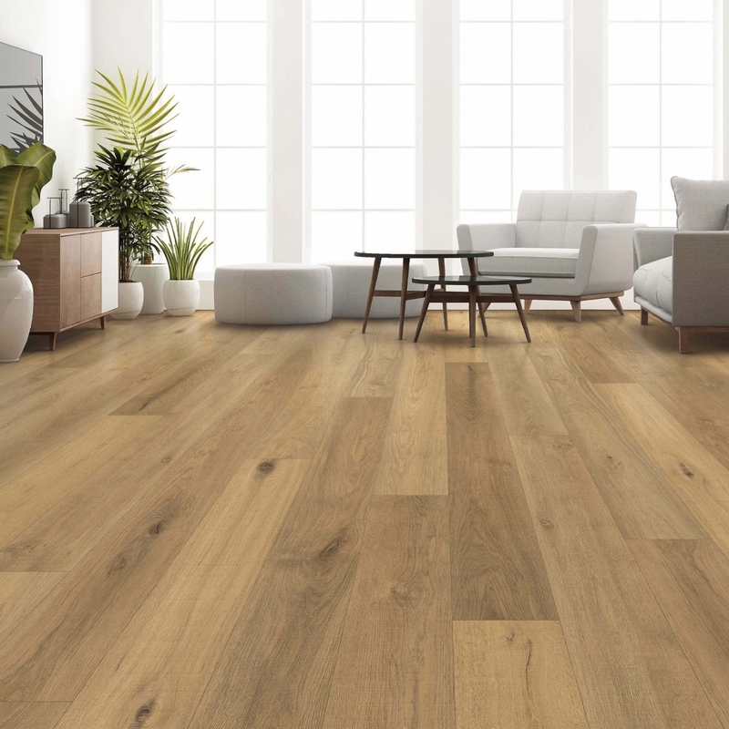 Provenza First Impressions High Style