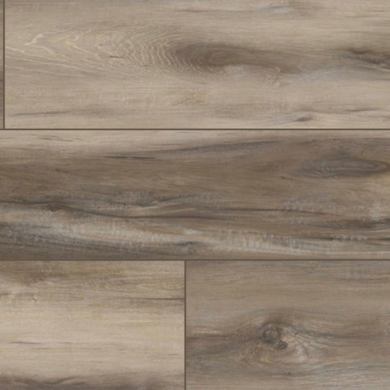 QDI Surfaces Forest Amazon