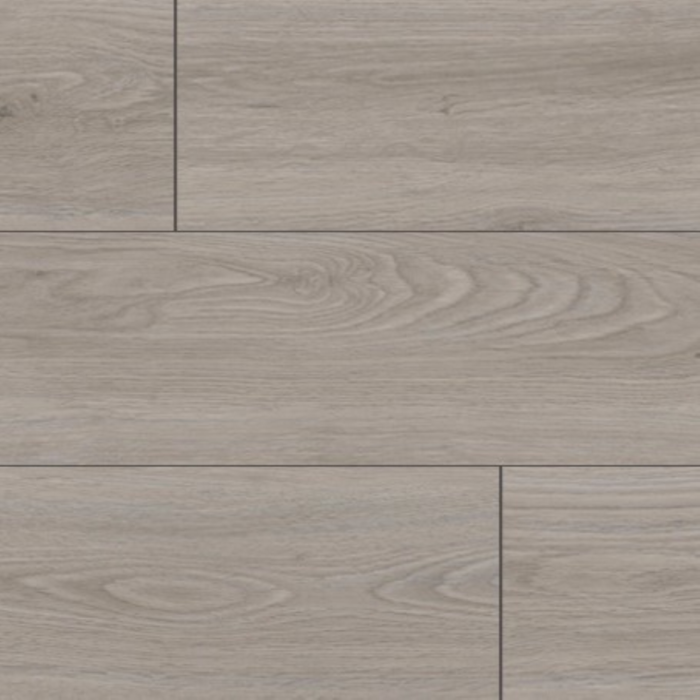 QDI Surfaces Forest Coconino