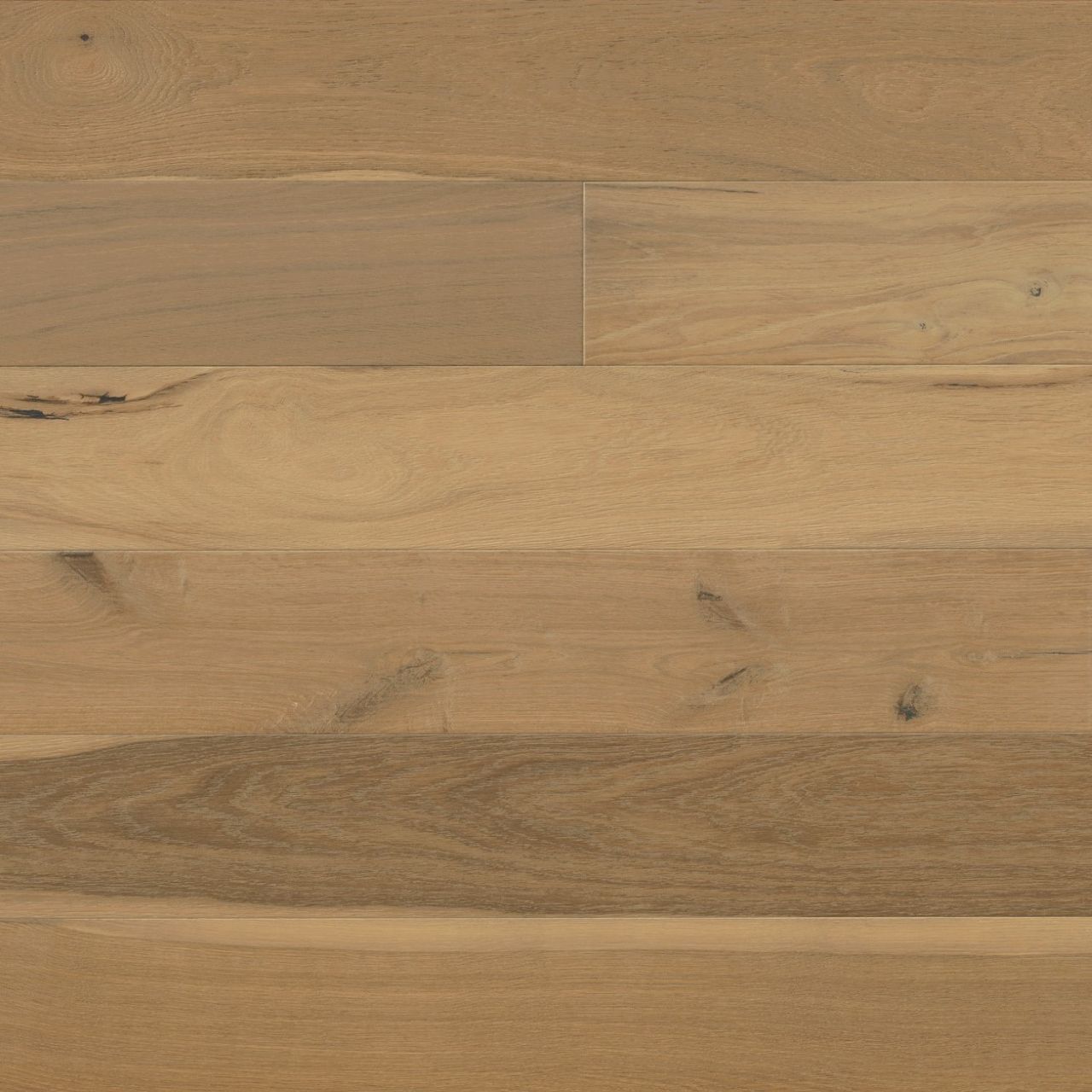 Reward Flooring Avalon Percival