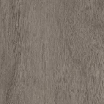 5th Main Haven Plank