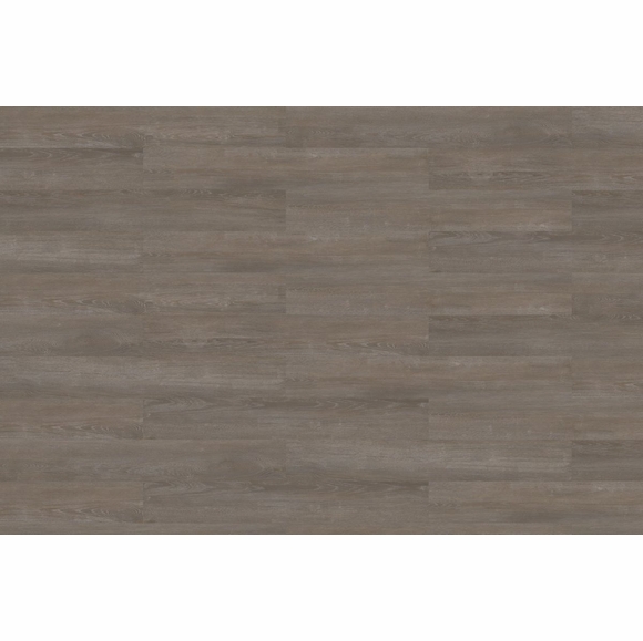 Shaw Contract Abide Heirloom Oak