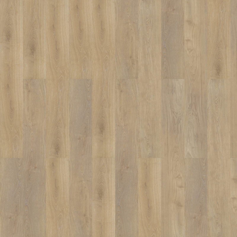 Shaw Contract Branching Out 5mm Prairie Oak