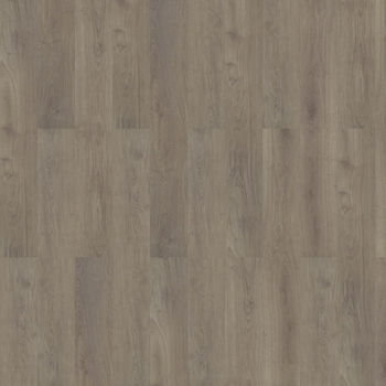 Shaw Contract Branching Out