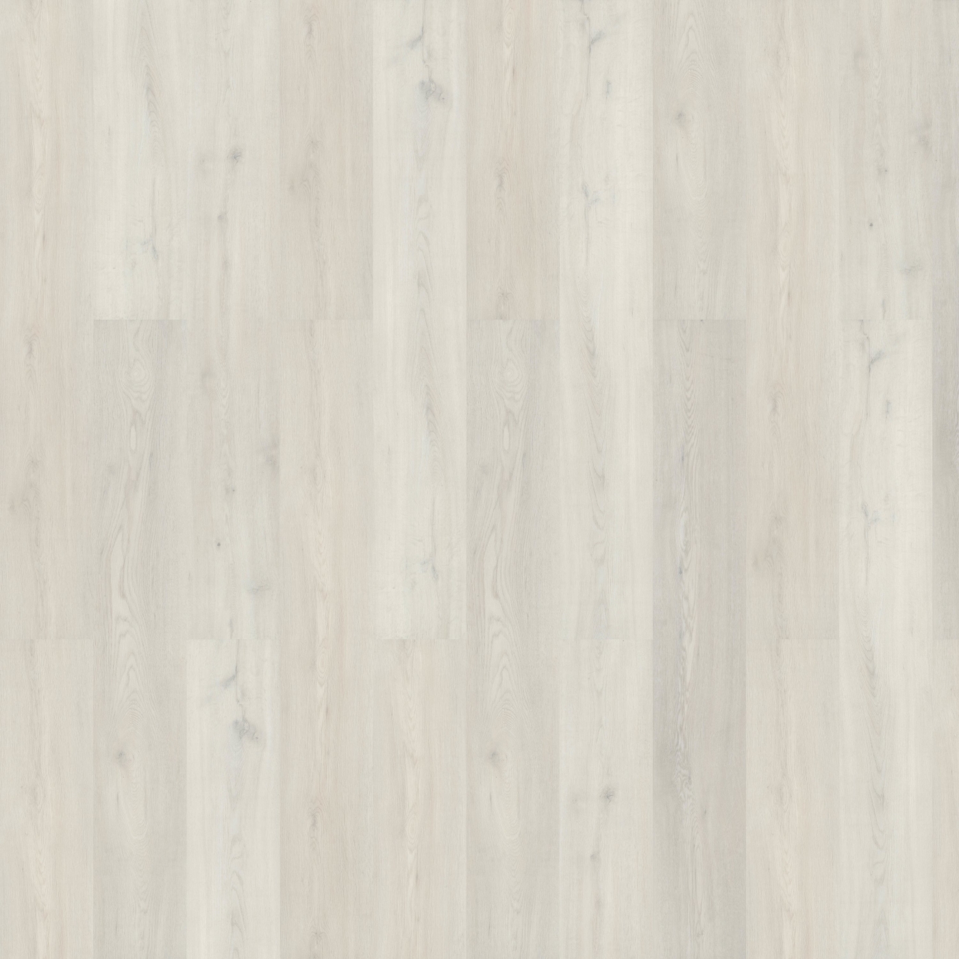 Shaw Contract Branching Out Rise Oak