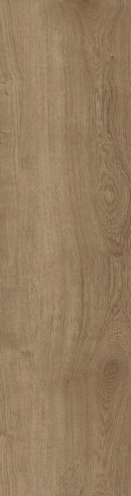 Shaw Contract Respite Path