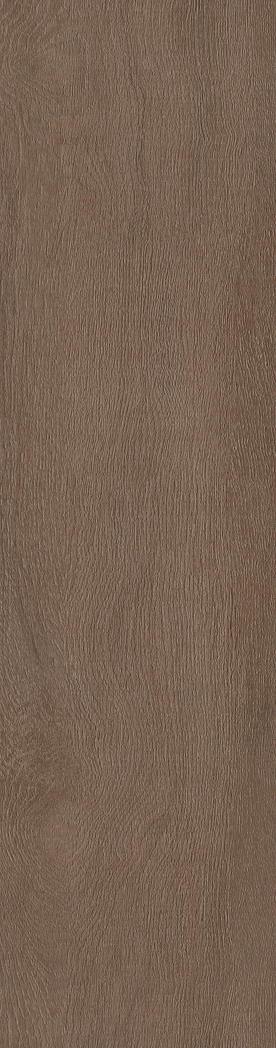 Shaw Contract Soundscape Feather