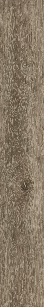 Shaw Quiet Cover Urban Ash