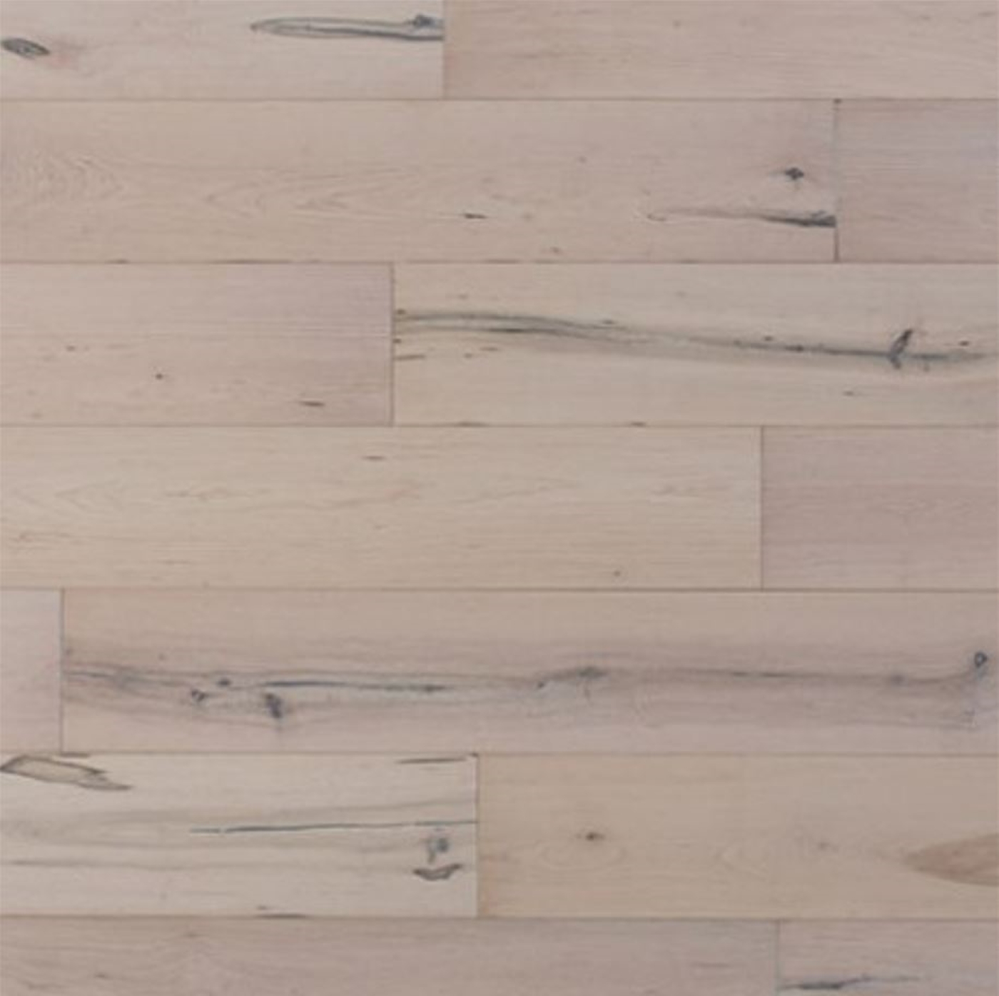 SLCC Pacific Coast San Rafeal