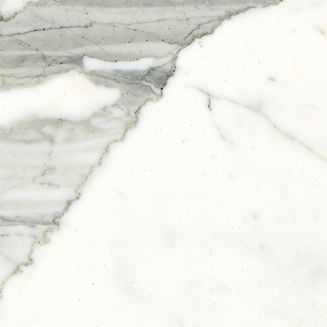 StonePeak Classic Statuarietto 12" x 24"