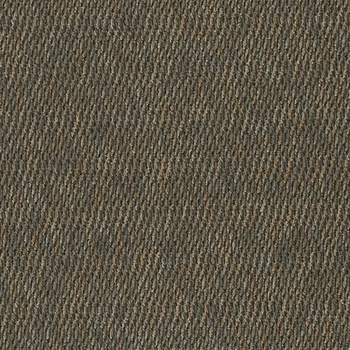 Tandus Forward Motion Carpet Tile