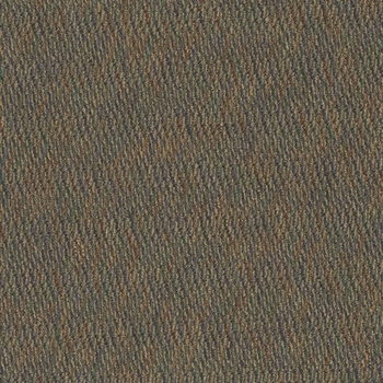 Tandus Forward Motion Carpet Tile