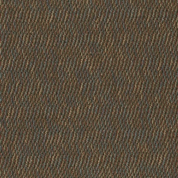 Tandus Forward Motion Carpet Tile