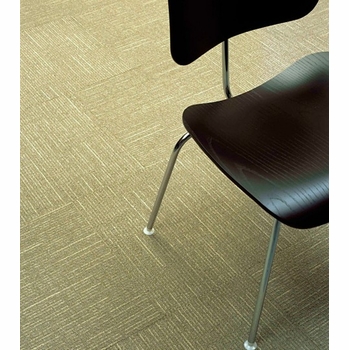Tarkett Tandus Carpet