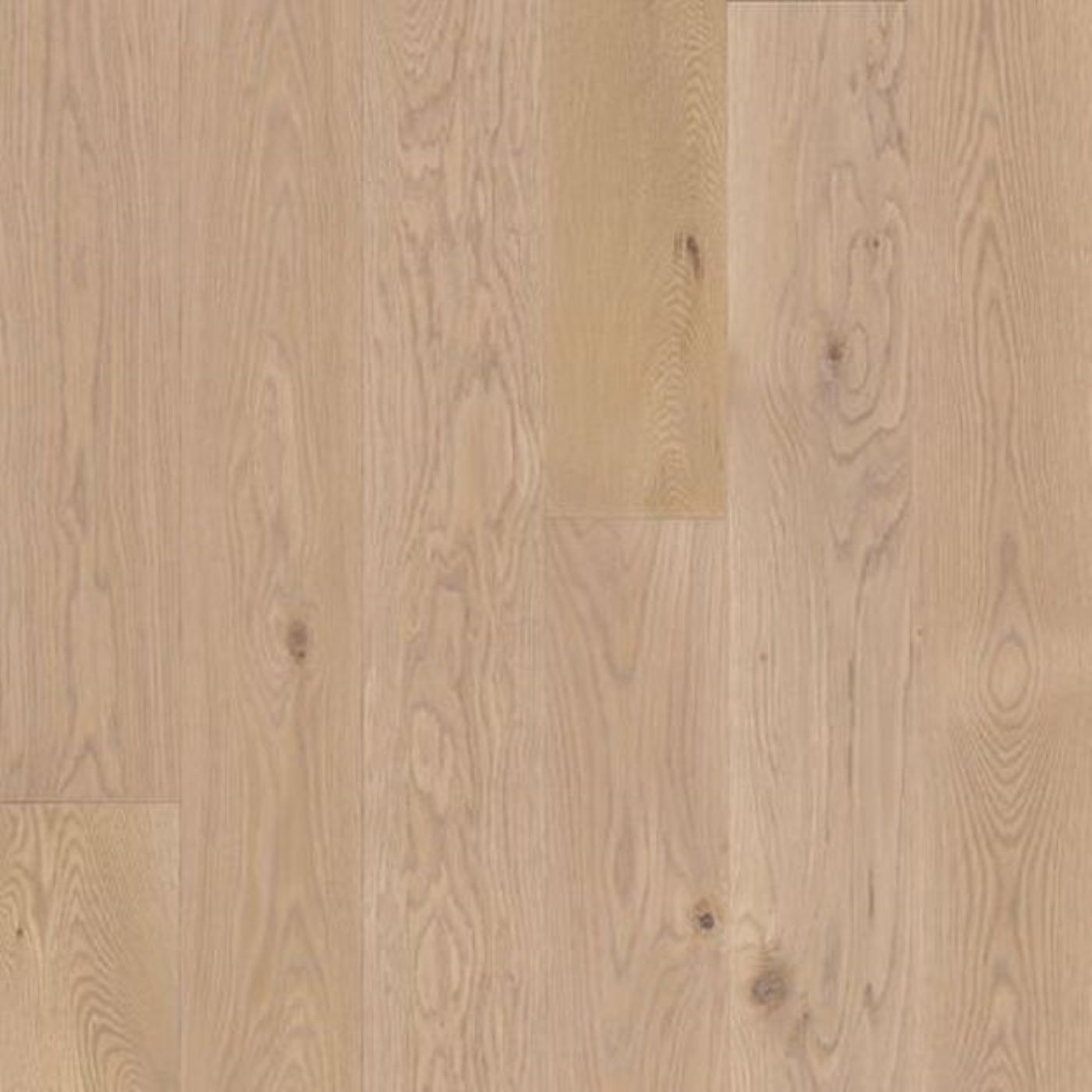 tmbr. Acadia Bar Island