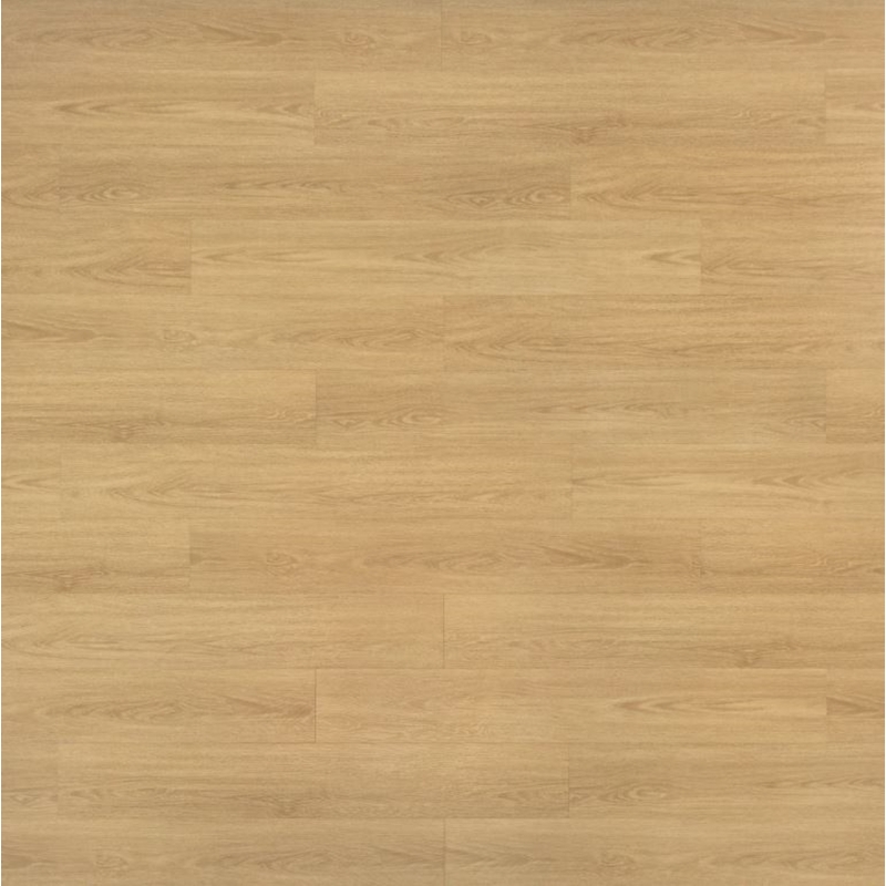 Urban Surfaces Studio 12 Navajo