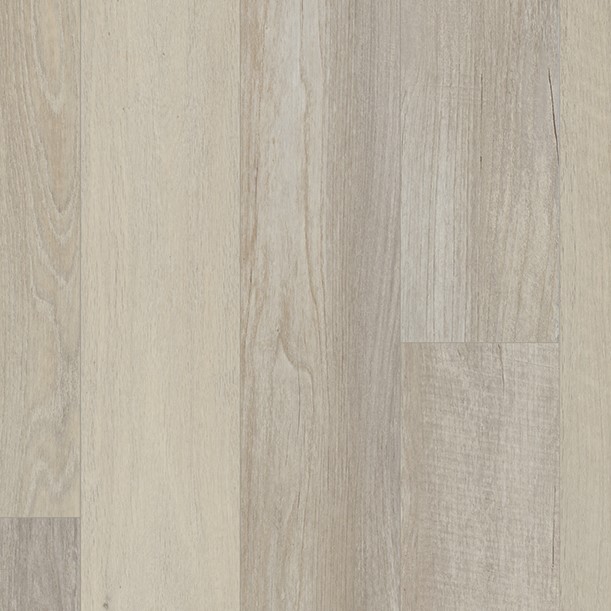 Coretec Pro Plus Enhanced Nicola Oak