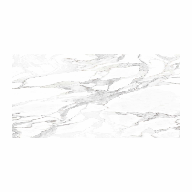 Vallelunga Calacatta 12" x 24"
