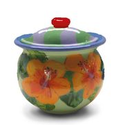 Mini Pot Droll Designs