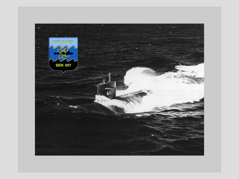 SSN-607 USS Dace Canvas Art
