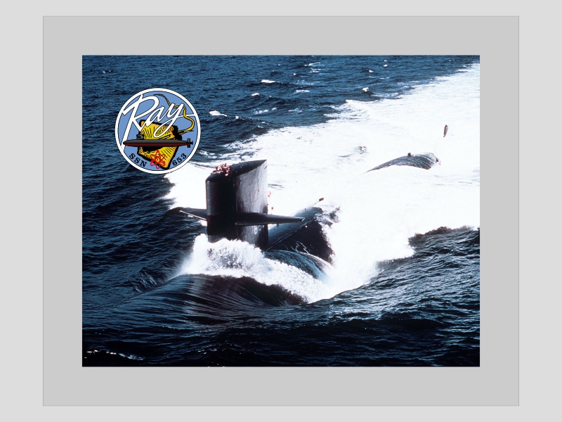 SSN-653 USS Ray Canvas Art