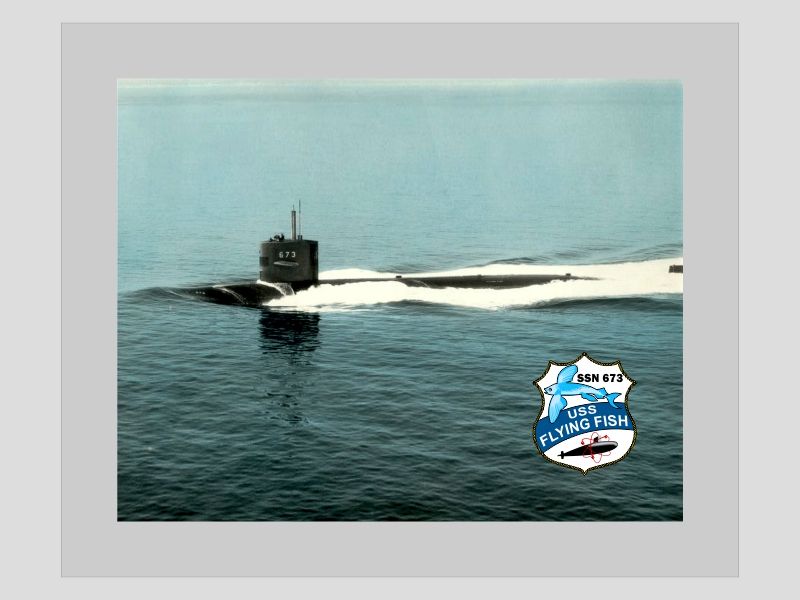 SSN-673 USS Flying Fish Canvas Art