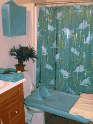 Colenz Ultimate Deluxe Home Colonic Board Kit with Bucket for Enema ...