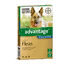 Advantage® - Flea Control