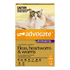 Advocate/Advantage Multi Large Cat, No Rx Prescription Required