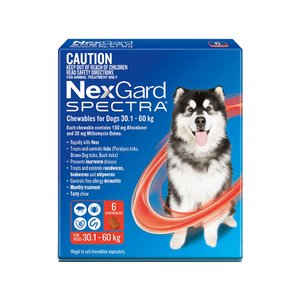 Nexgard Spectra